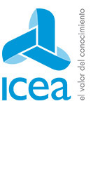 ICEA - XXXIII Promoción del Máster en Dirección Aseguradora Profesional